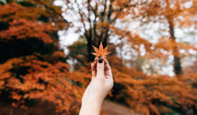 Charming New England Towns To Visit This Fall - The Well Worn Shoes