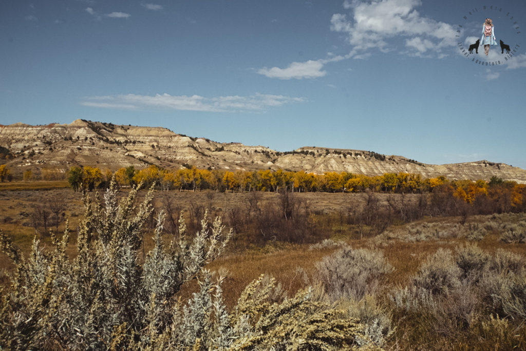 15 Fun Things To Do In Medora, North Dakota - The Well Worn Shoes