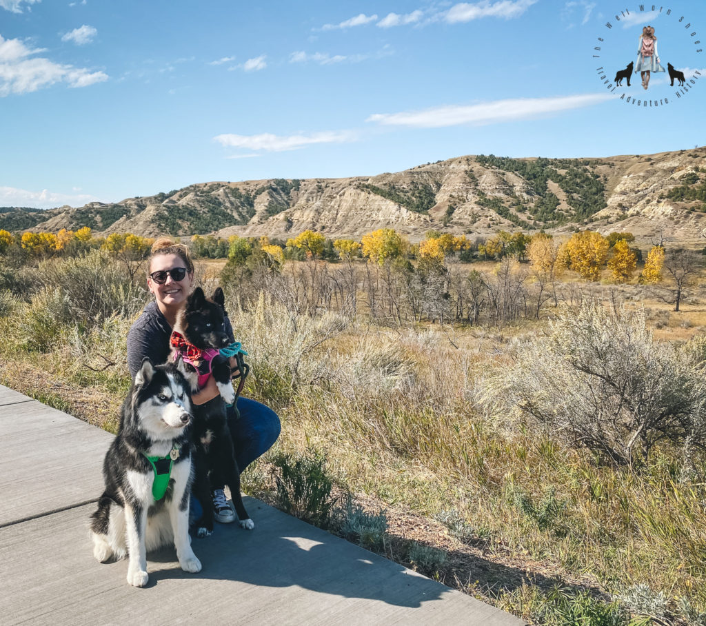 16 Tips For Traveling With Dogs - The Well Worn Shoes