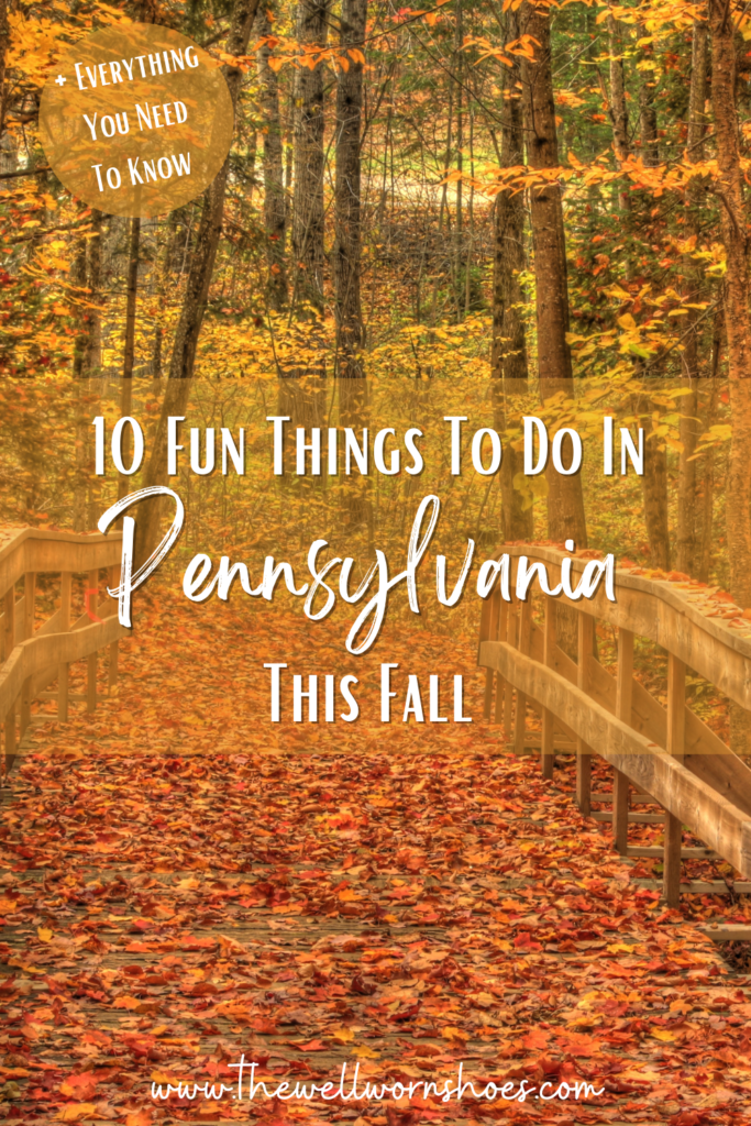 10 Fun Fall Festivals In Pennsylvania - The Well Worn Shoes