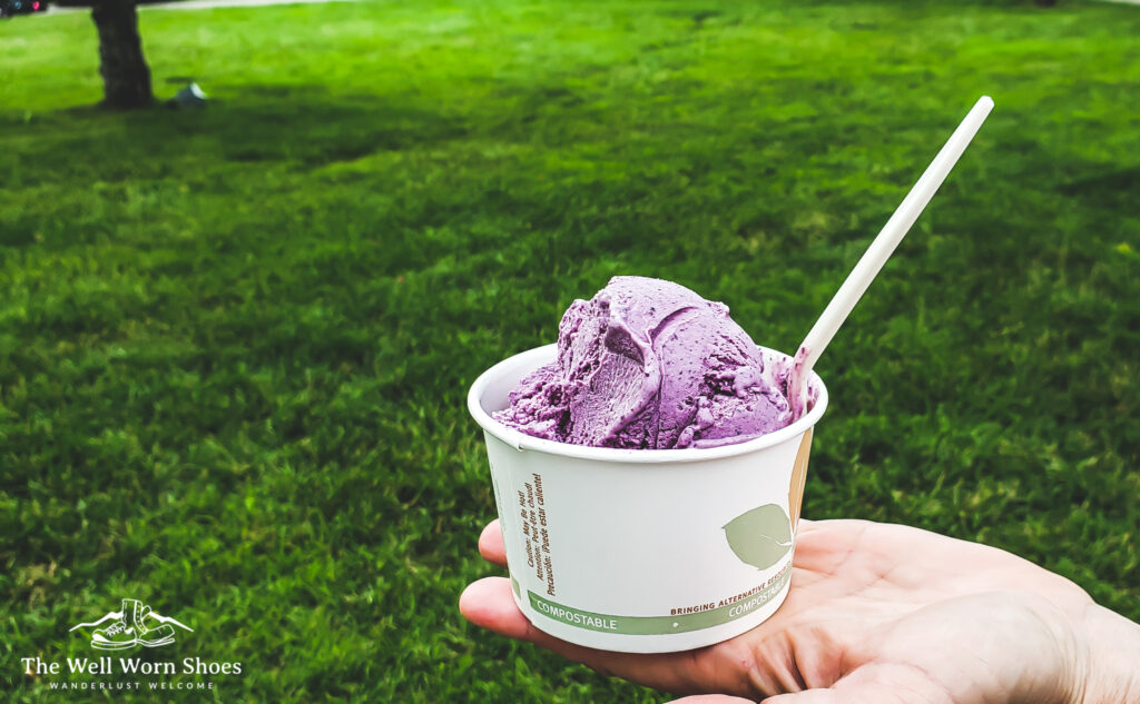 11 Can’t Miss Shops in Bar Harbor, Maine - The Well Worn Shoes