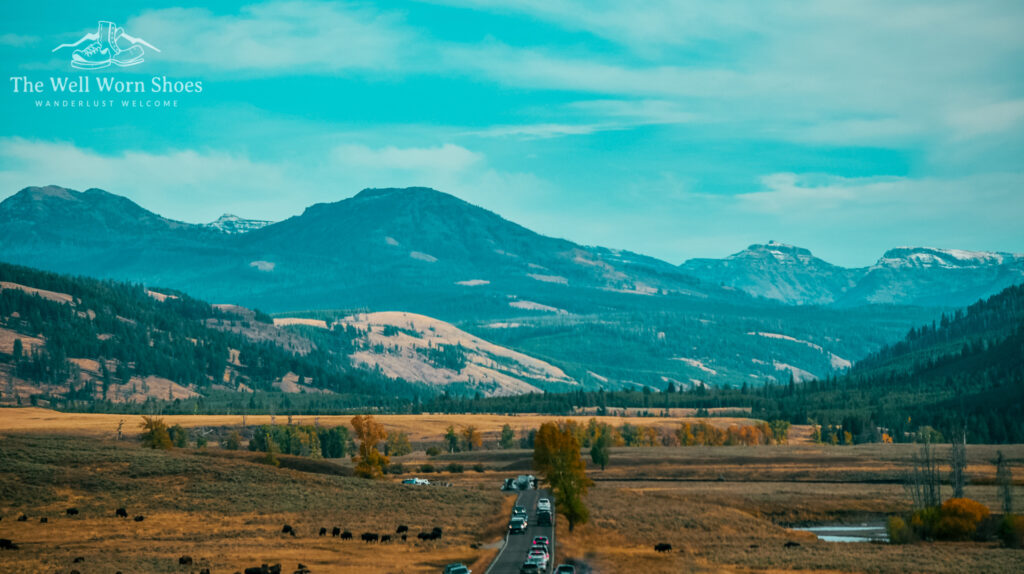 Lamar Valley: A Guide To The Most Magical Place In Yellowstone - The ...