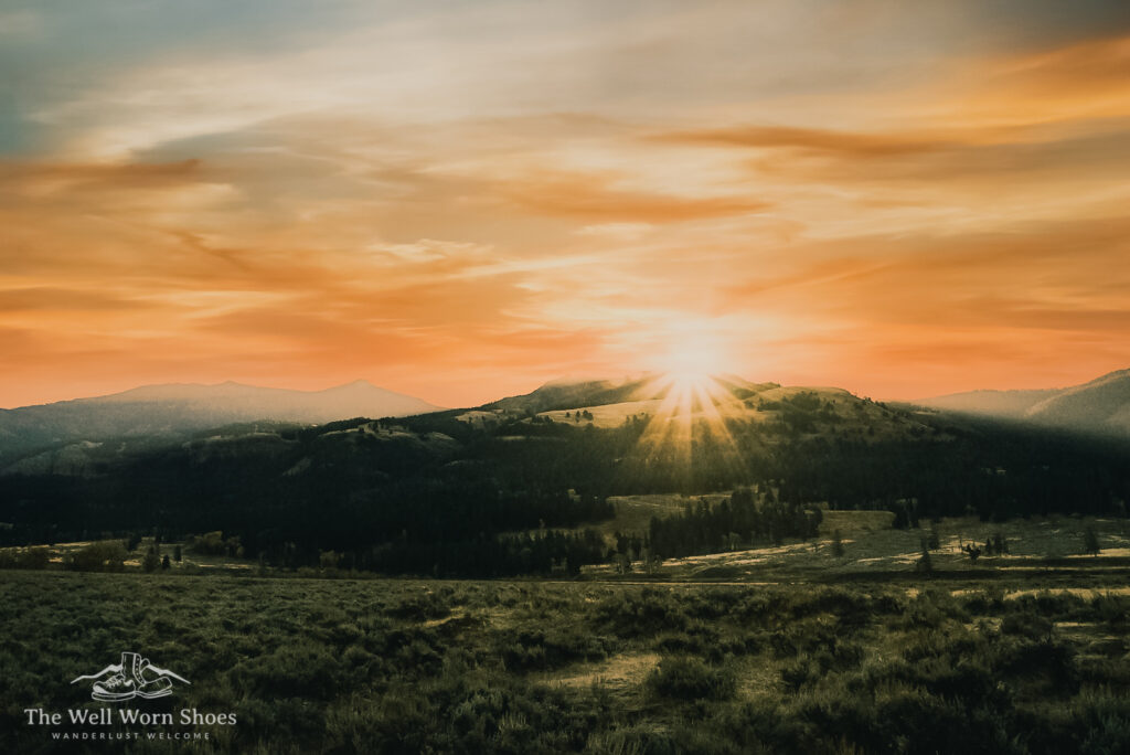 Lamar Valley: A Guide To The Most Magical Place In Yellowstone - The ...
