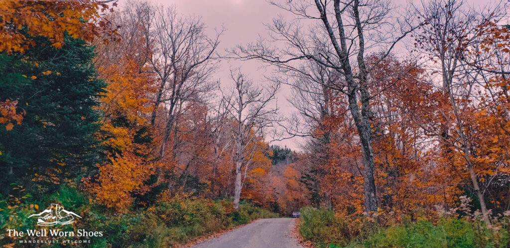 8 Charming Vermont Towns To Visit In Fall - The Well Worn Shoes