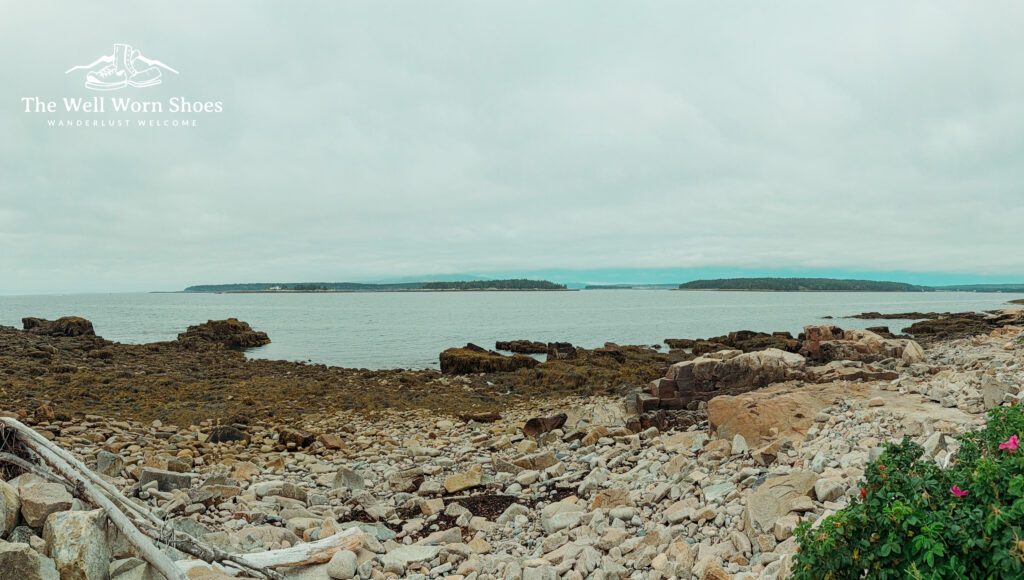The Complete Guide to Schoodic Peninsula in Acadia National Park - The ...