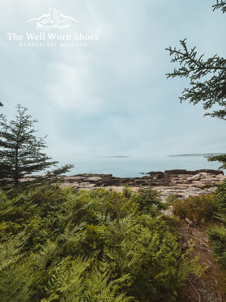 The Complete Guide to Schoodic Peninsula in Acadia National Park - The ...