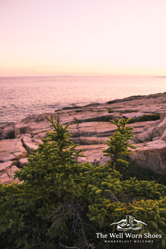 The Complete Guide to Schoodic Peninsula in Acadia National Park - The ...