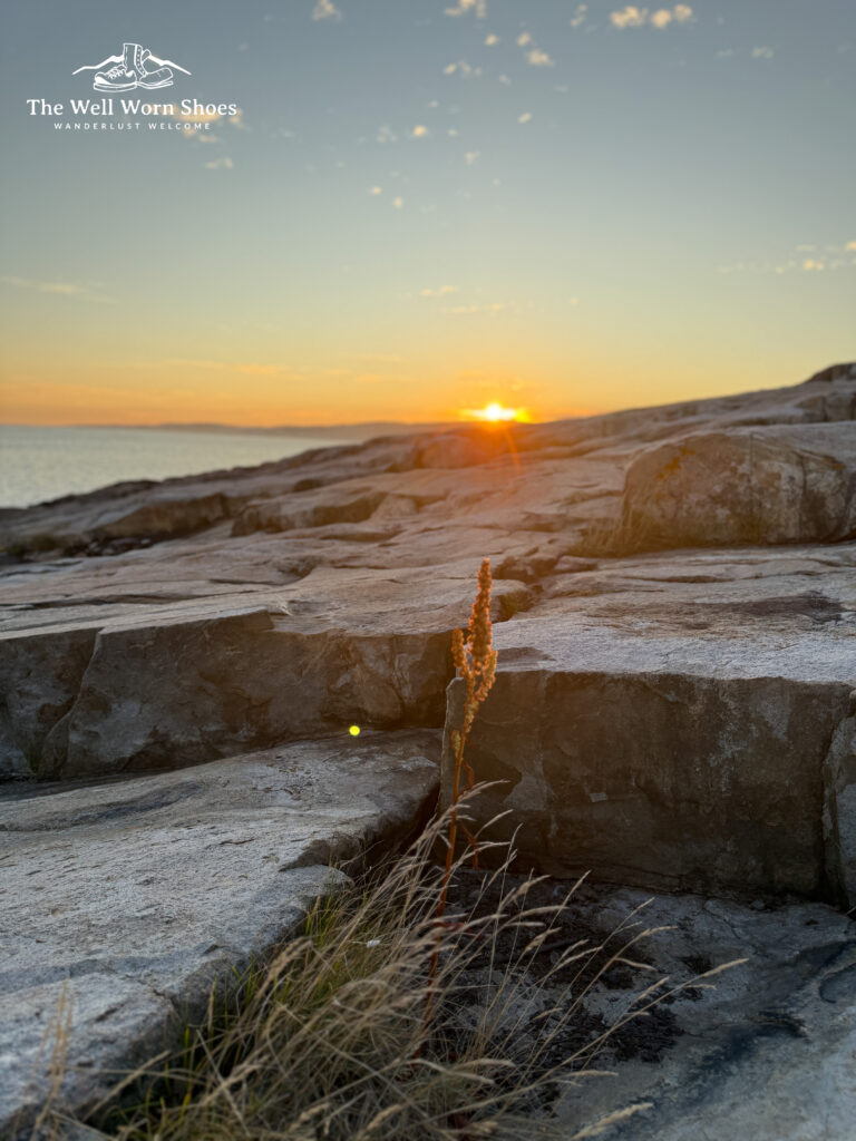 The Complete Guide to Schoodic Peninsula in Acadia National Park - The ...